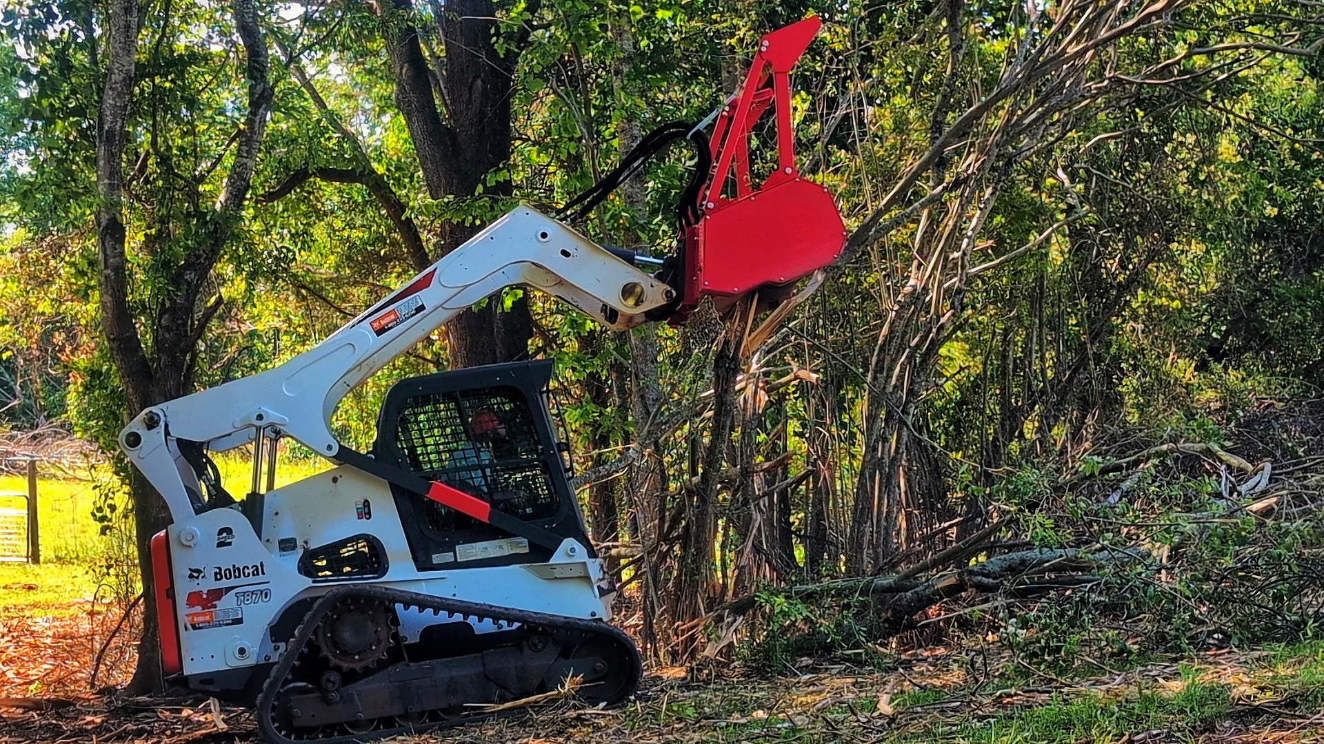 Forestry Mulching Services Eco Friendly Land Clearing - BillyGoat Mulching